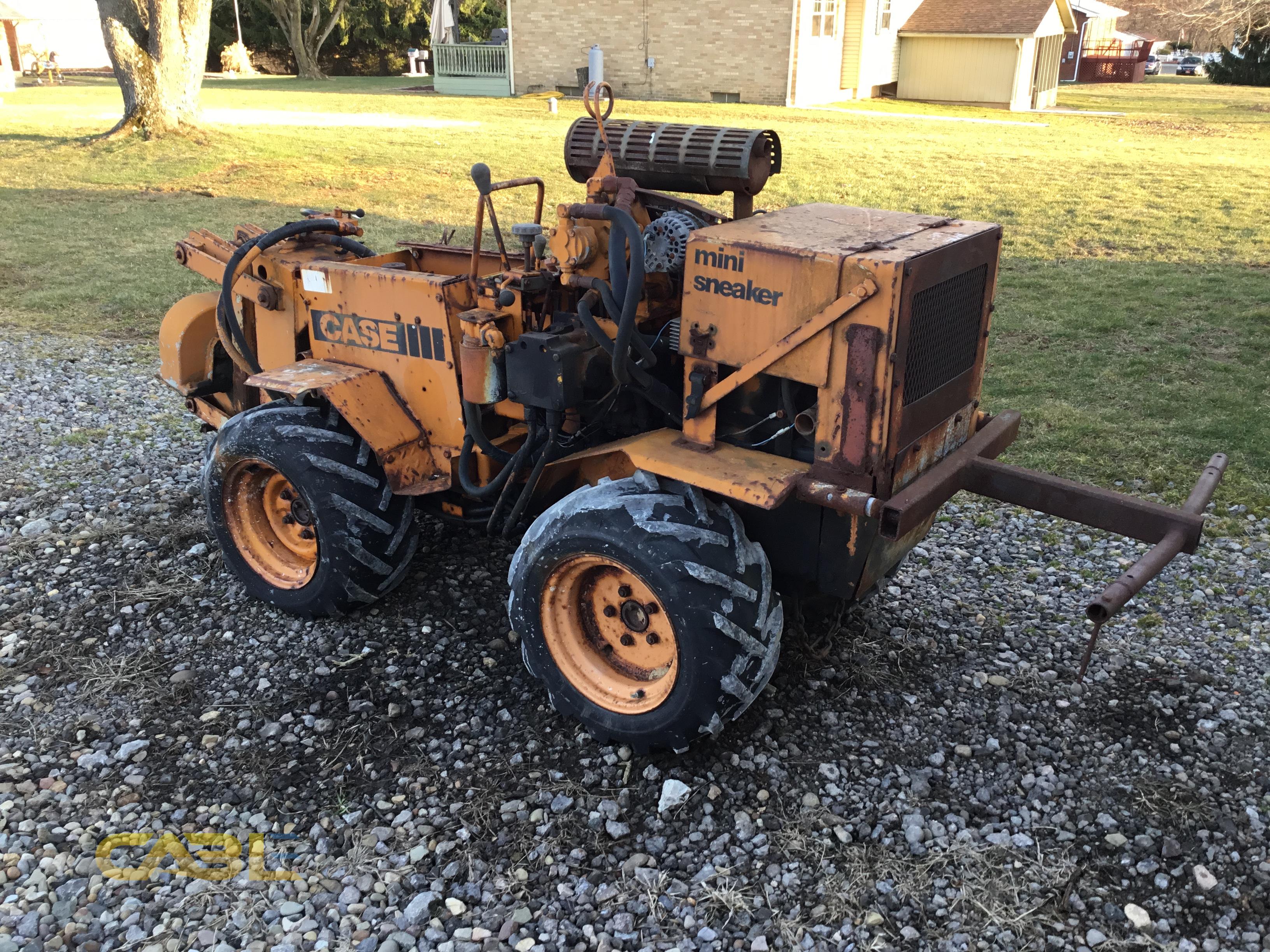 Pictures (Case Mini Sneaker)