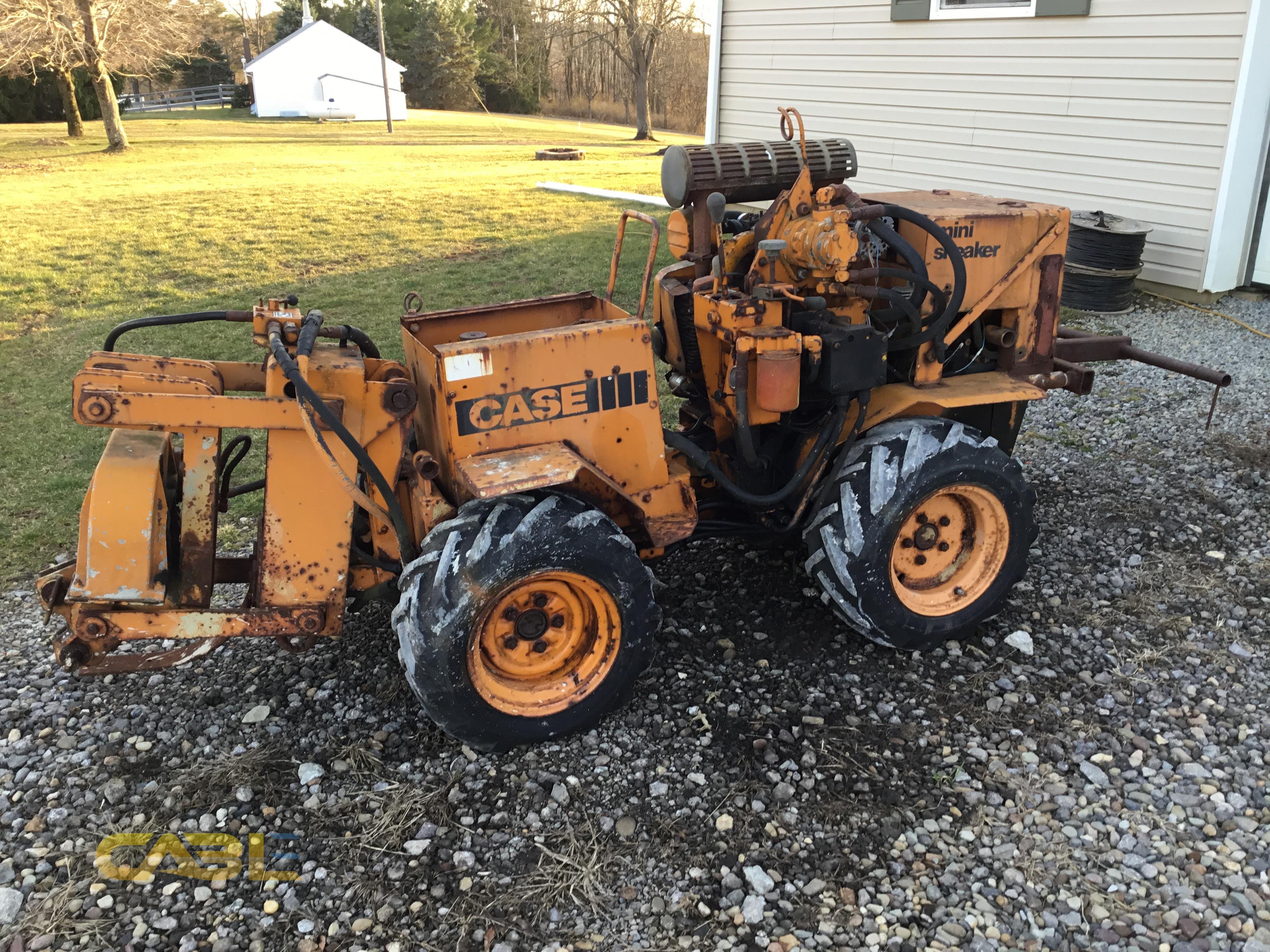 Pictures (Case Mini Sneaker)