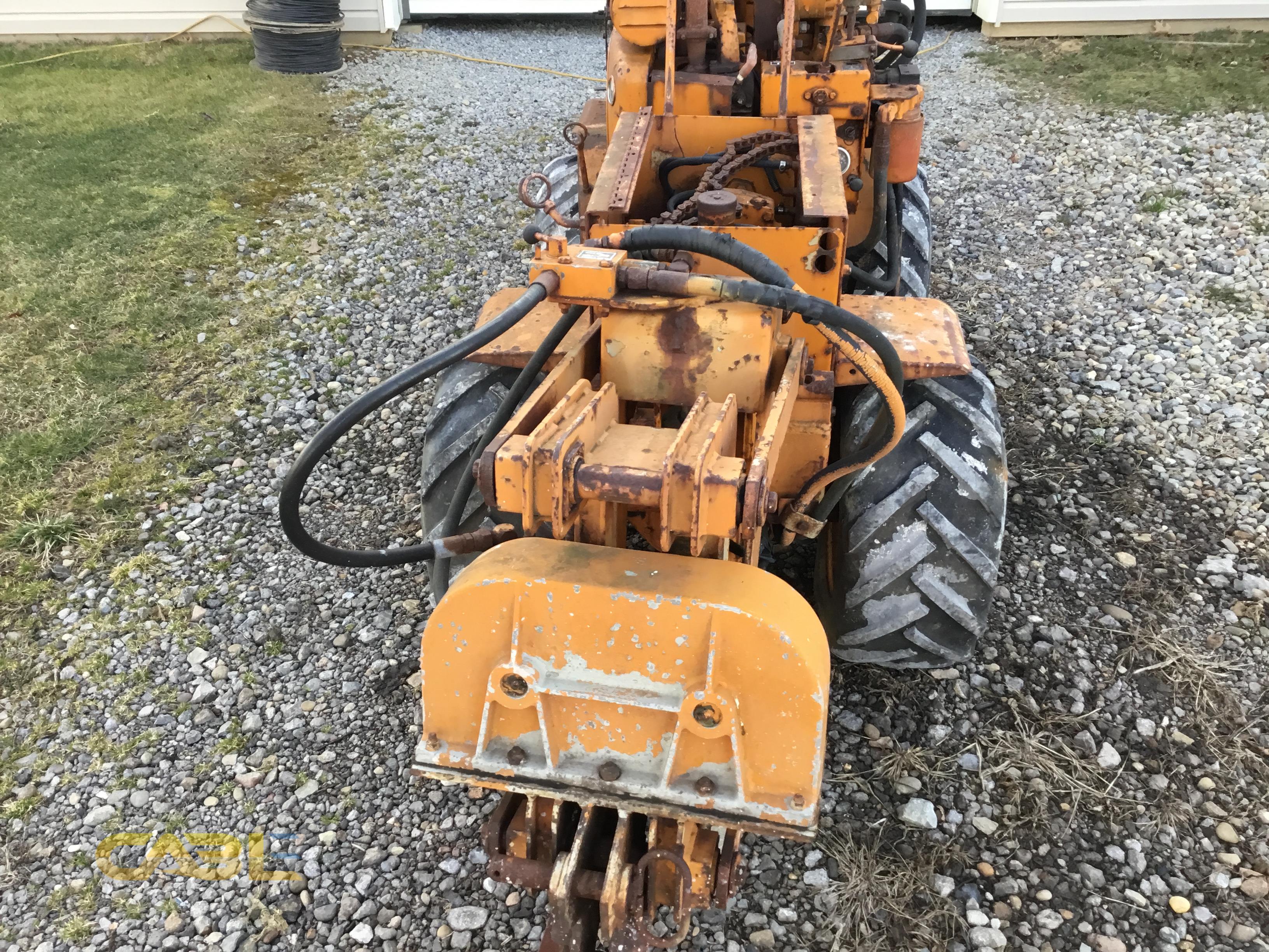 Pictures (Case Mini Sneaker)