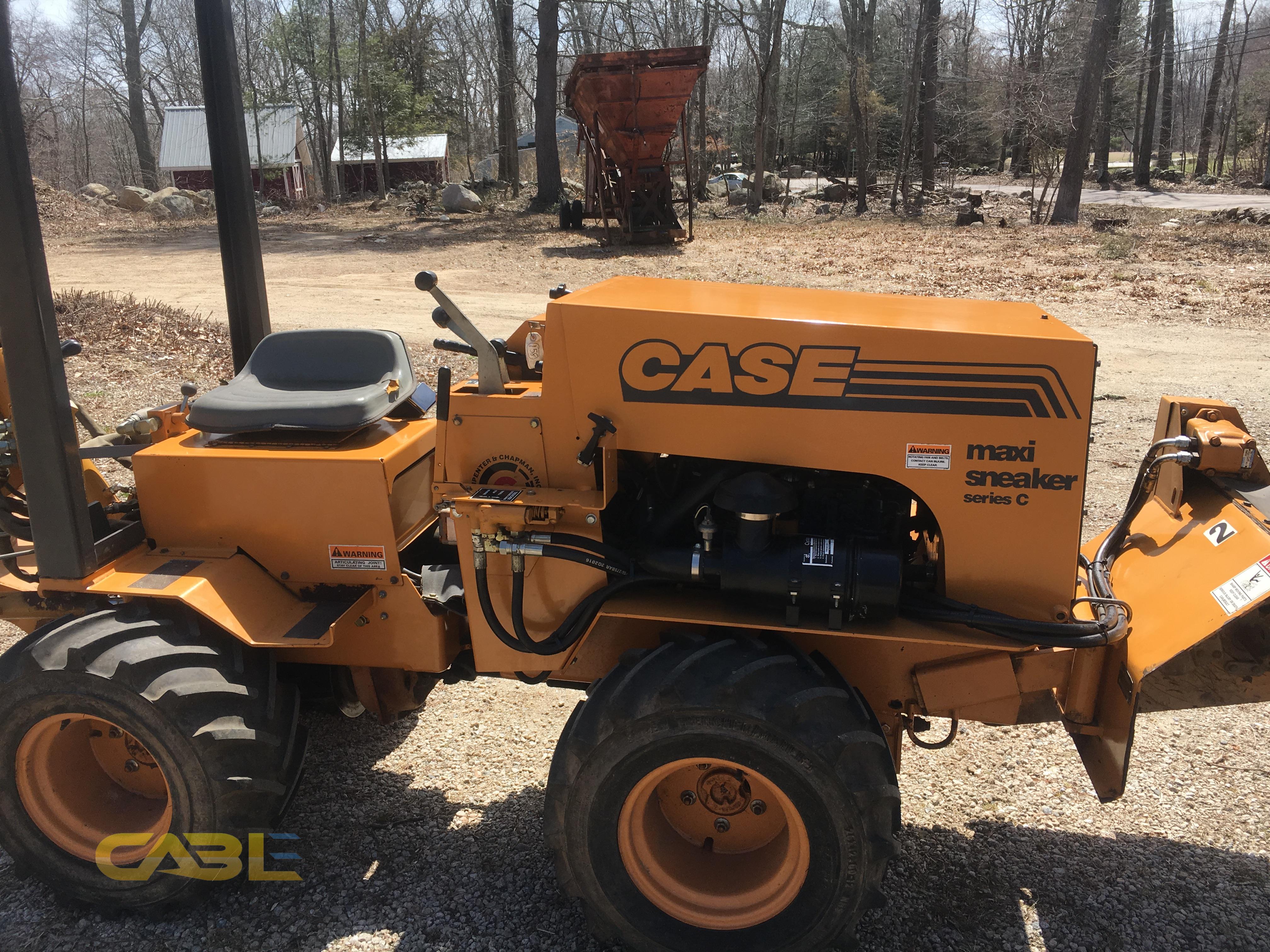 Pictures (Case Maxi Sneaker)