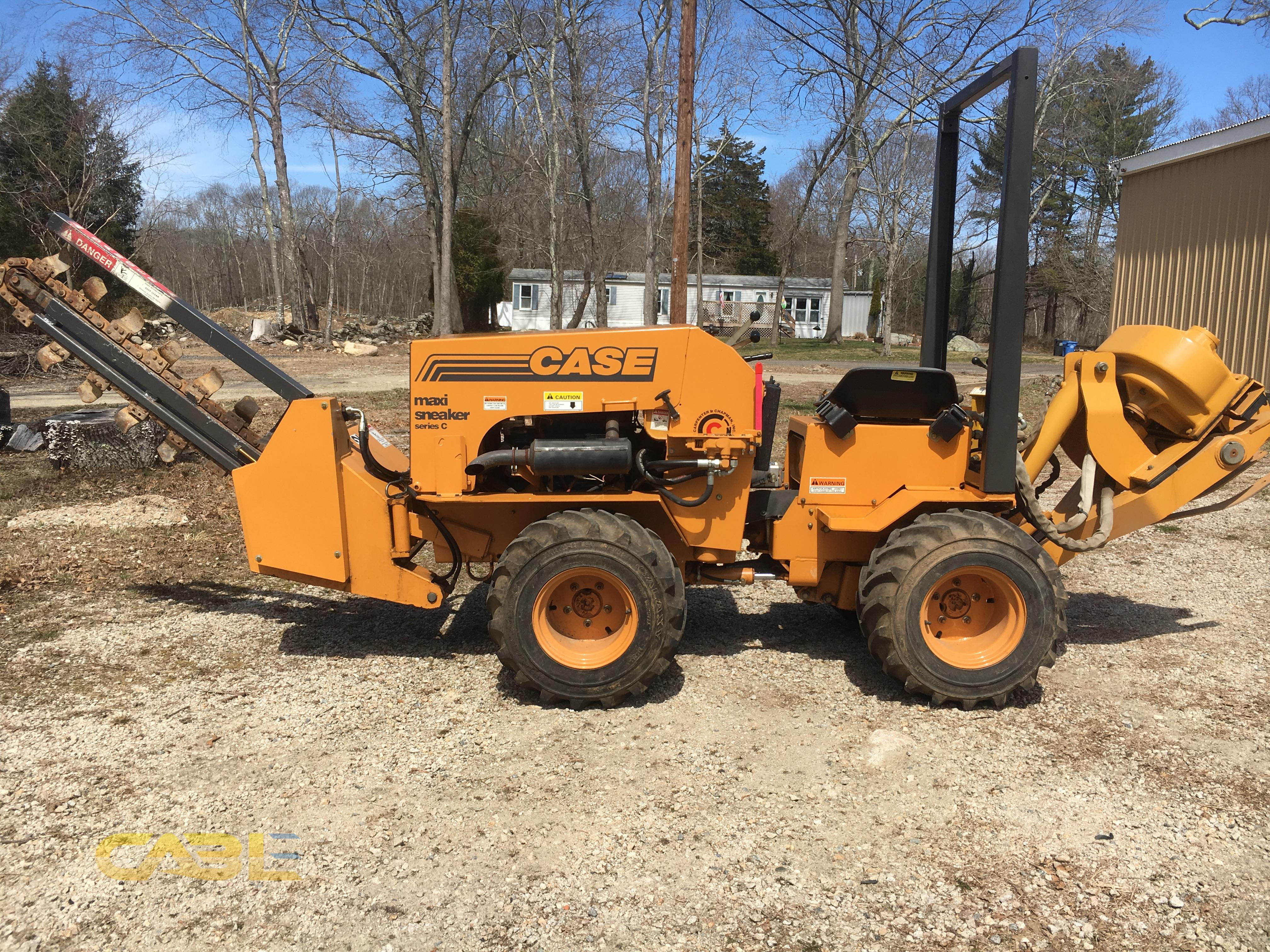 Pictures (Case Maxi Sneaker)